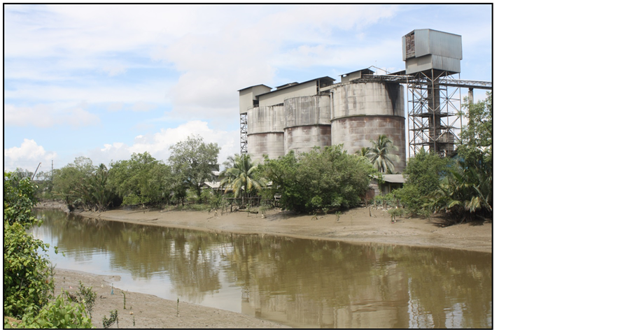 Characterizing a Populated Riparian Zone