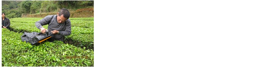 Developing Situations of Tea Plucking Machine