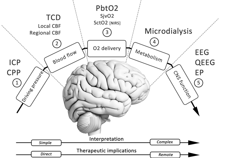 Monitoring Brain and Spinal Cord Metabolism and Function