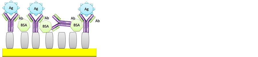 Surface Plasmon Resonance for C-Reactive Protein Detection in Human Plasma