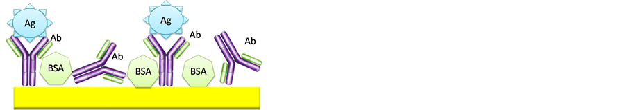 Surface Plasmon Resonance for C-Reactive Protein Detection in Human Plasma