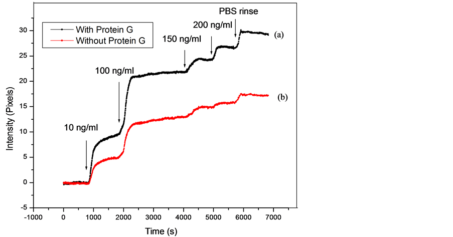 Surface Plasmon Resonance for C-Reactive Protein Detection in Human Plasma