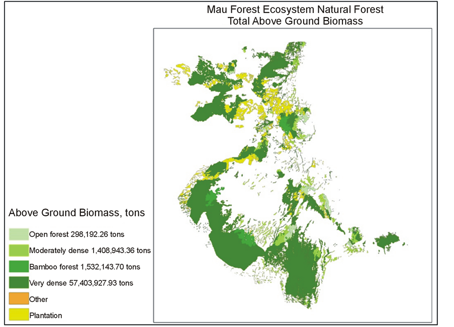 An Inventory of the Above Ground Biomass in the Mau Forest Ecosystem, Kenya