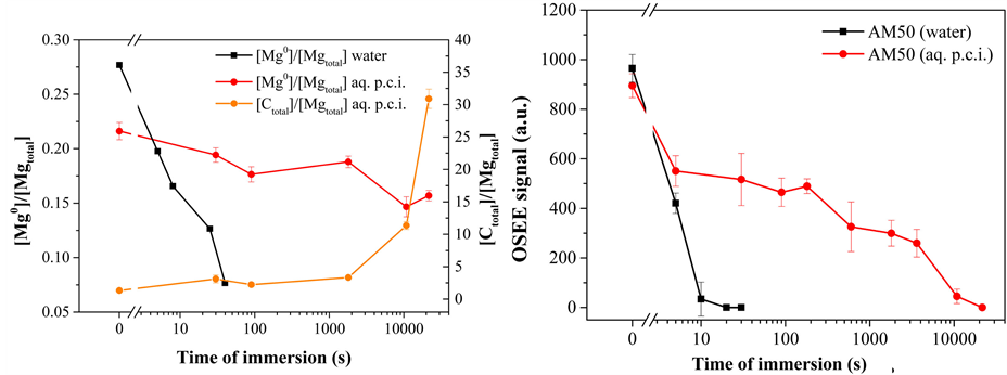 Instantly Investigating the Adsorption of Polymeric Corrosion ...