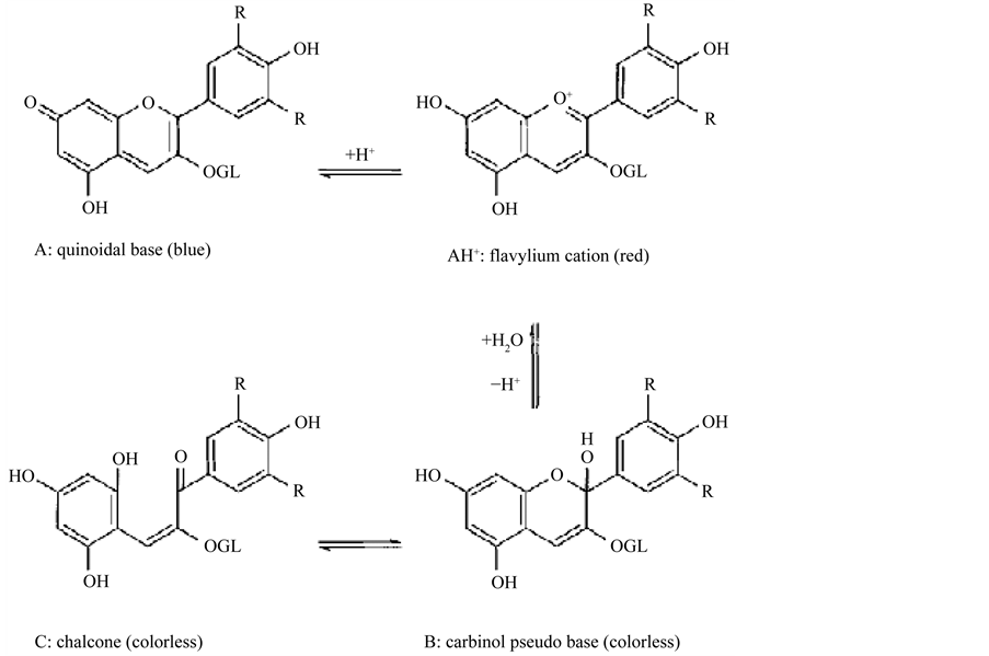 Blueberry: Functional Traits and Obtention of Bioactive Compounds