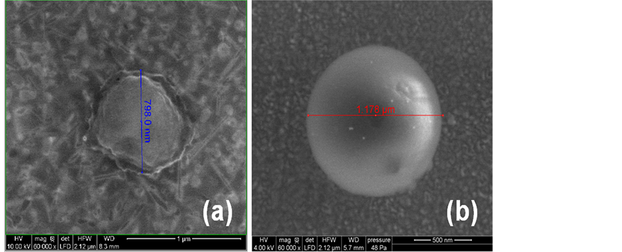 Bi-Enzymatic Conductometric Biosensor for Detection of Heavy Metal Ions ...