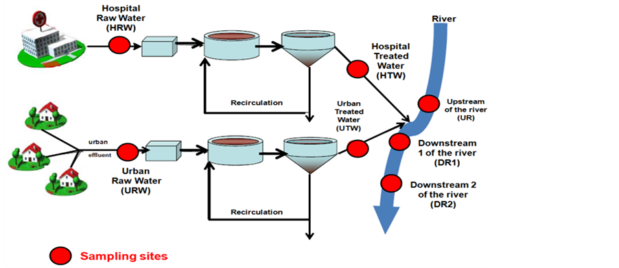 Bi-Enzymatic Conductometric Biosensor for Detection of Heavy Metal Ions ...