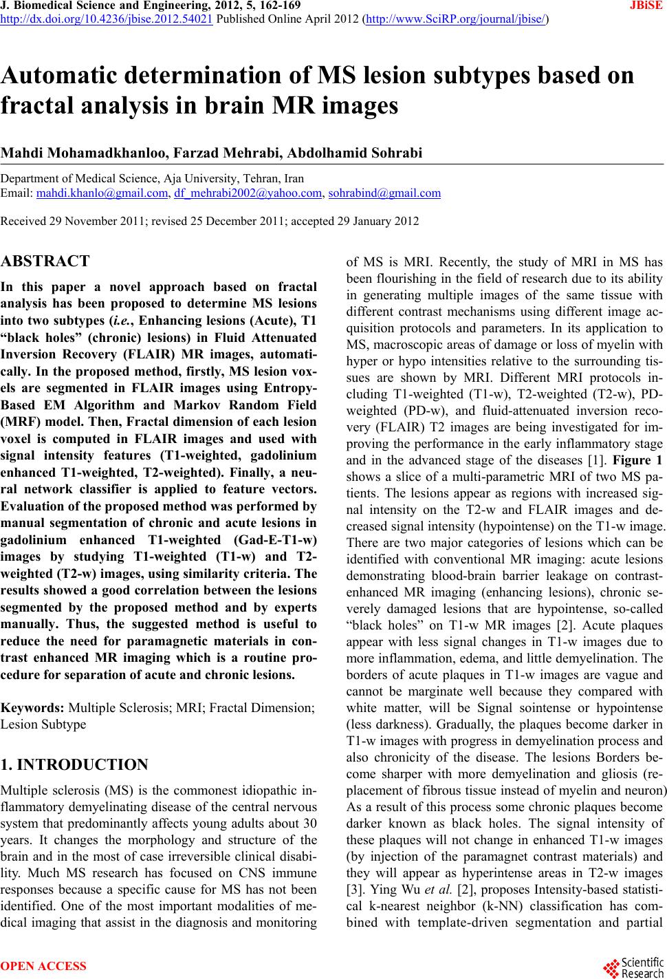 Automatic determination of MS lesion subtypes based on fractal analysis in brain MR images