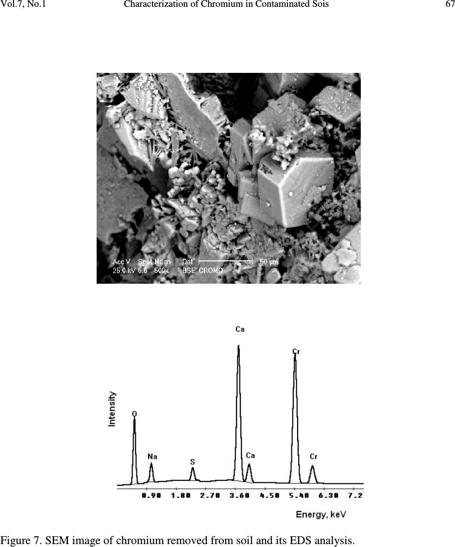 Characterization of Chromium in Contaminated Soil Studied by SEM, EDS ...