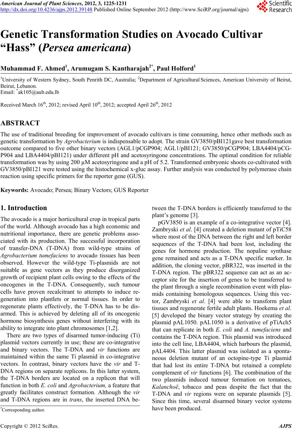 Genetic Transformation Studies on Avocado Cultivar “Hass” (Persea ...