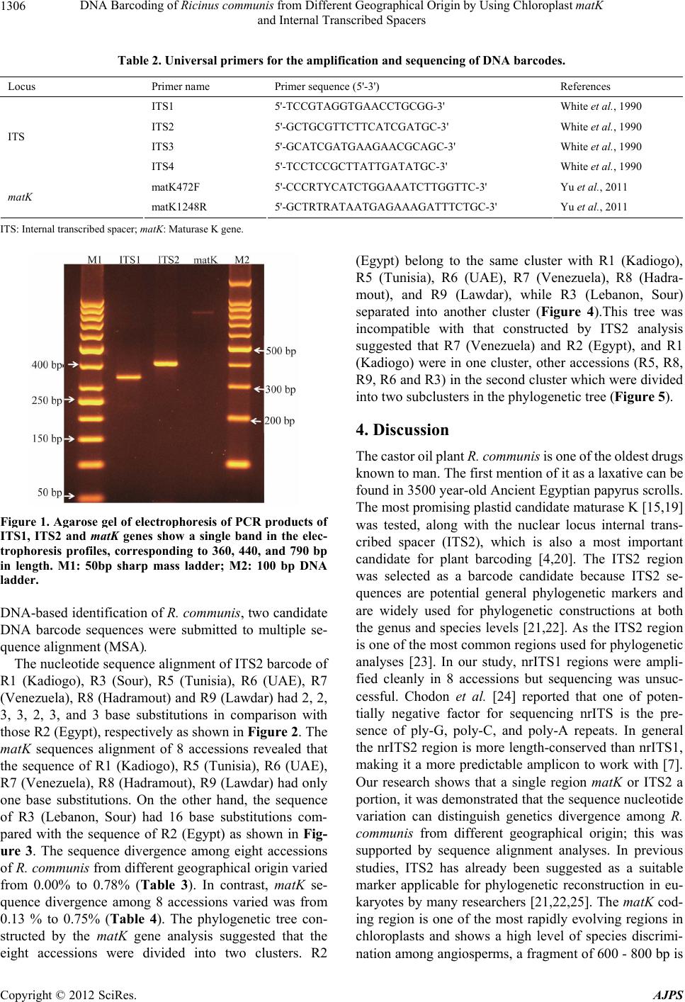 DNA Barcoding of Ricinus communis from Different Geographical Origin by ...