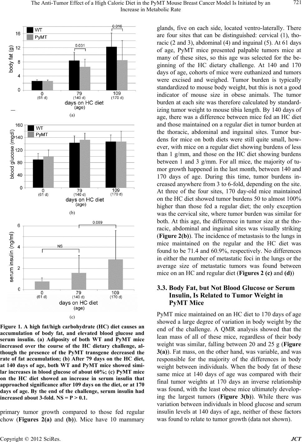 The Anti-Tumor Effect of a High Caloric Diet in the PyMT Mouse Breast ...