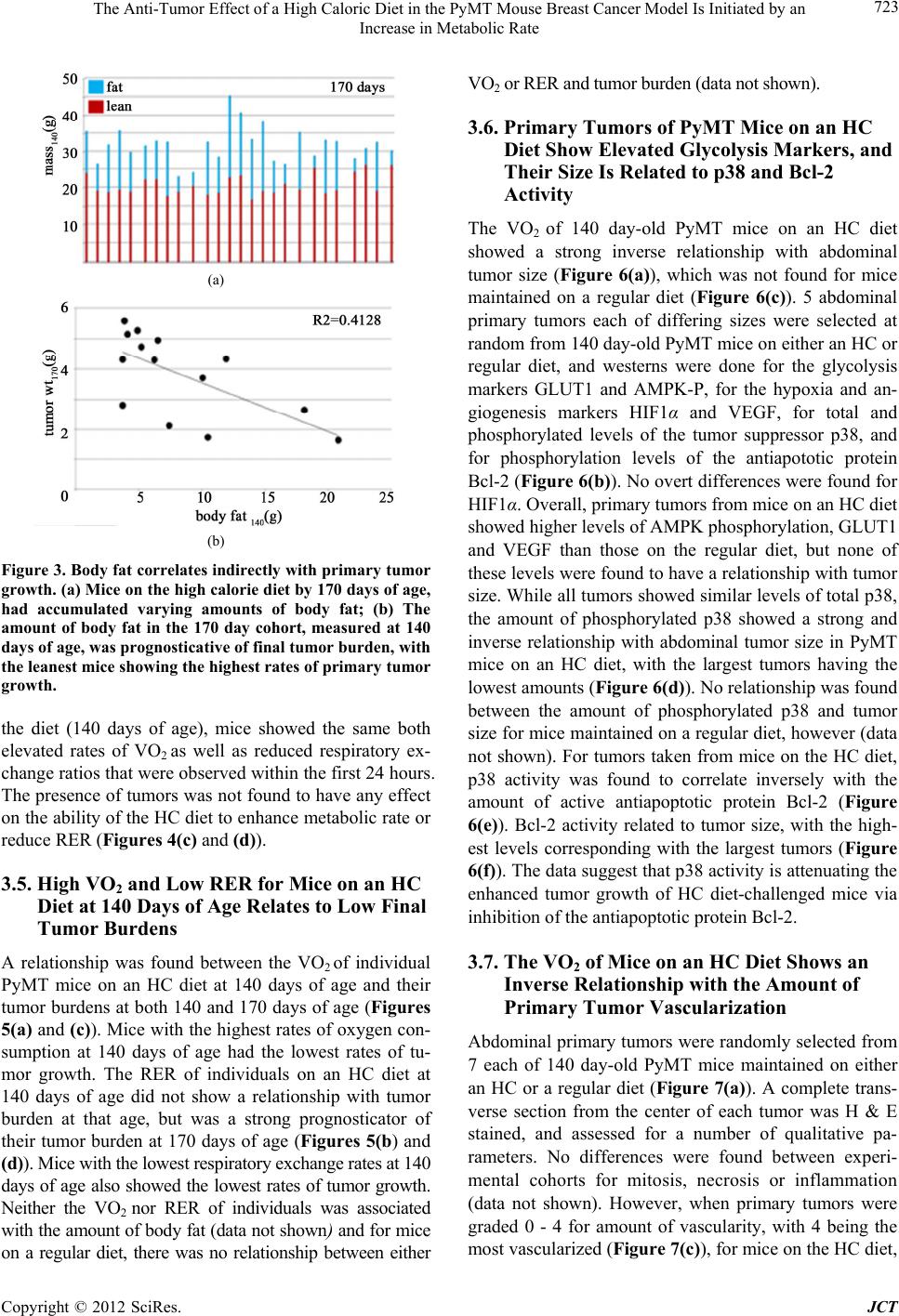 The Anti-Tumor Effect of a High Caloric Diet in the PyMT Mouse Breast ...