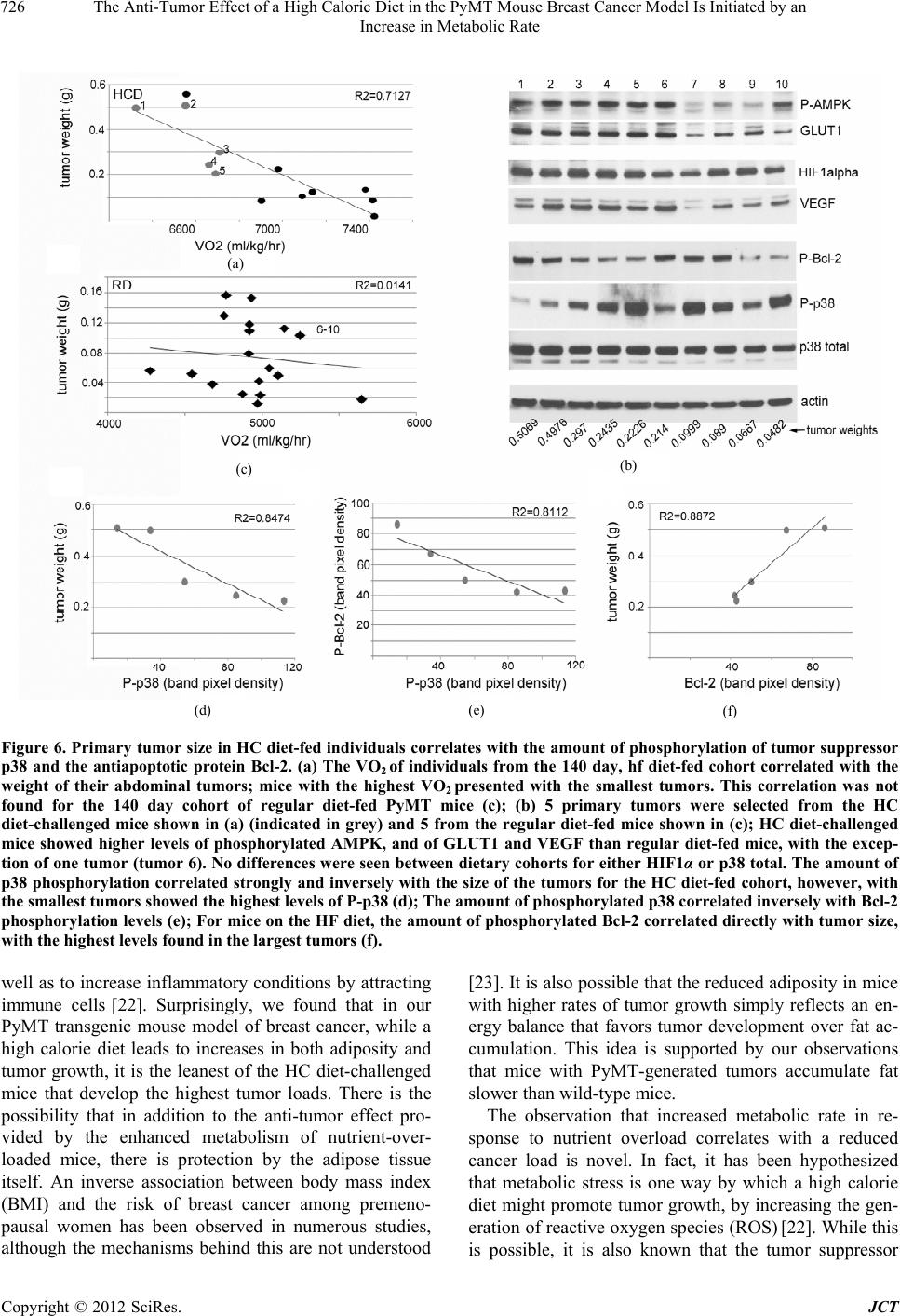 The Anti-Tumor Effect of a High Caloric Diet in the PyMT Mouse Breast ...
