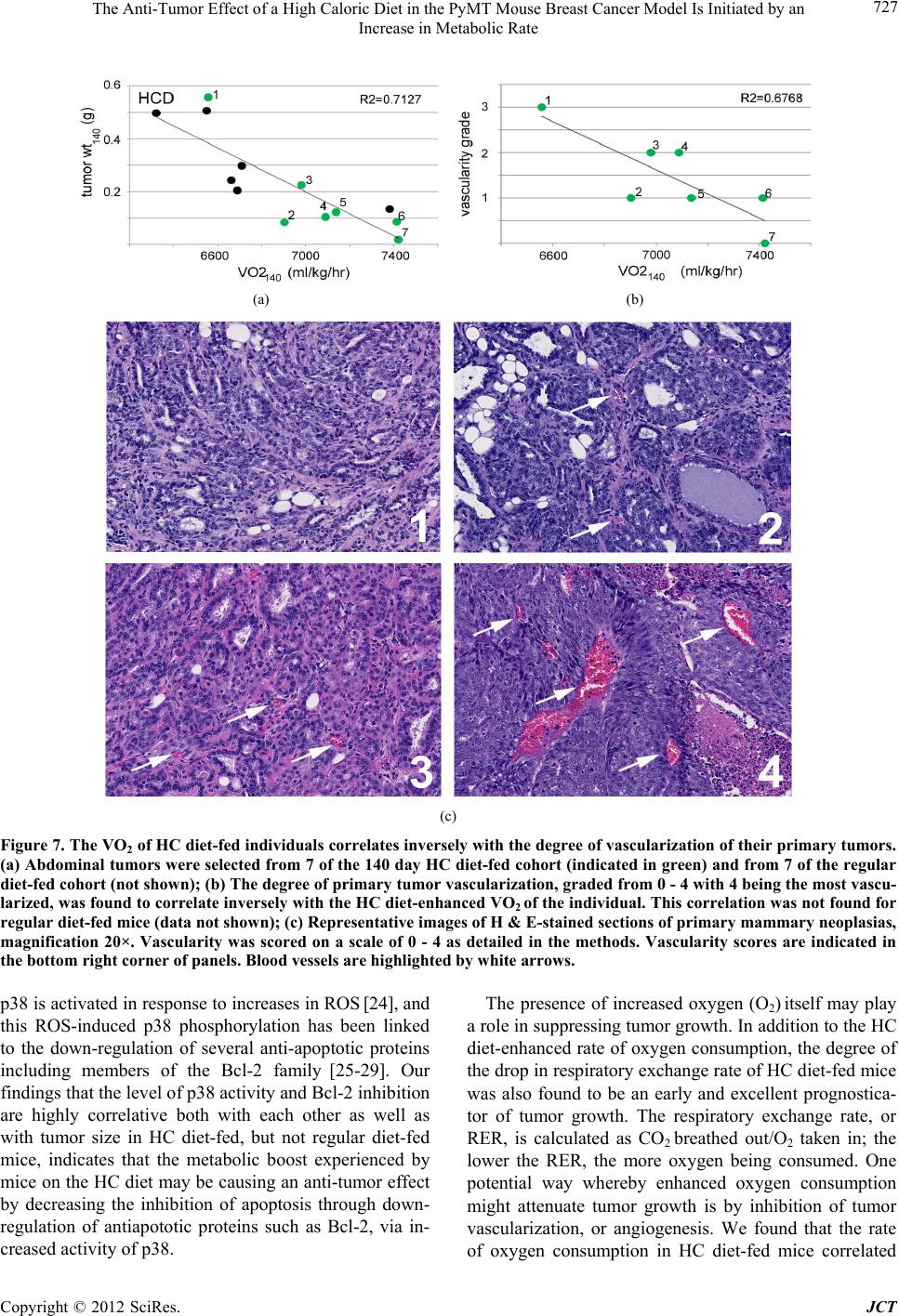 The Anti-Tumor Effect of a High Caloric Diet in the PyMT Mouse Breast ...