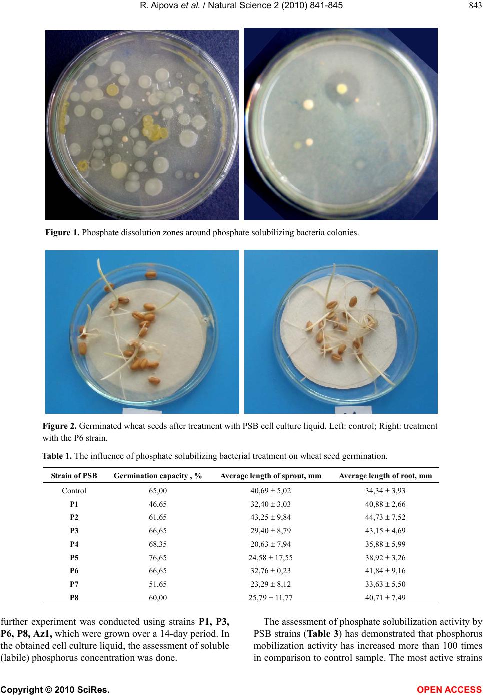 Assessment of biotechnological potential of phosphate solubilizing bacteria isolated from soils ...