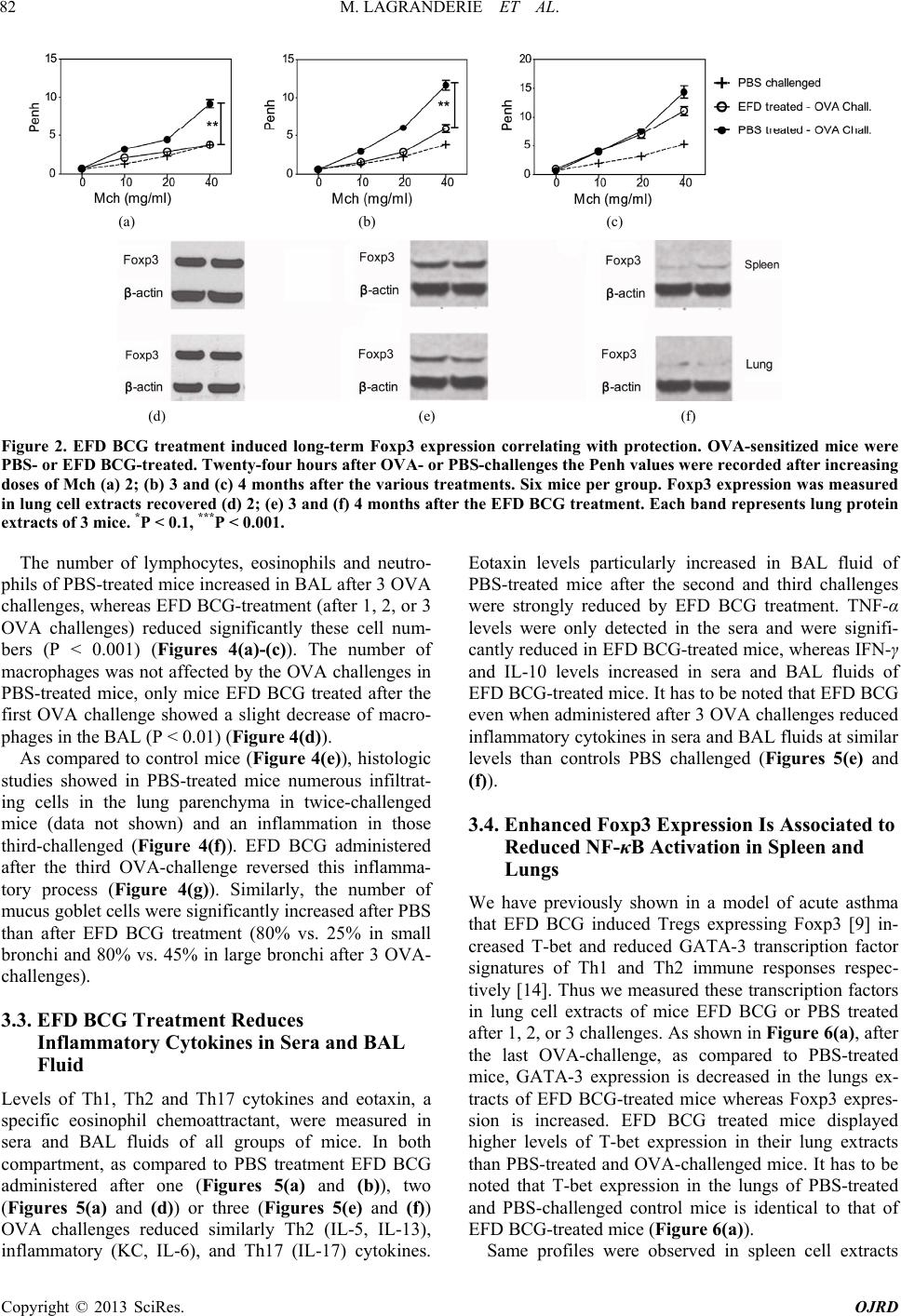 Therapeutic Administration of Mycobacterium bovis BCG Killed by ...
