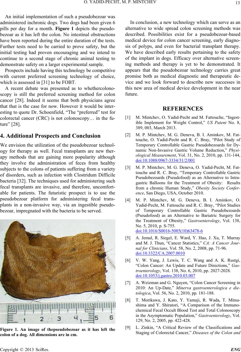 Pseudobezoars: Technology Progress and New Prospects as a Medical Platform
