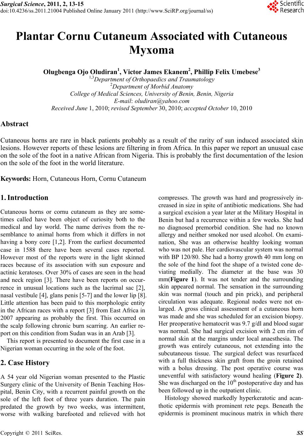 Cornu Cutaneum Histology