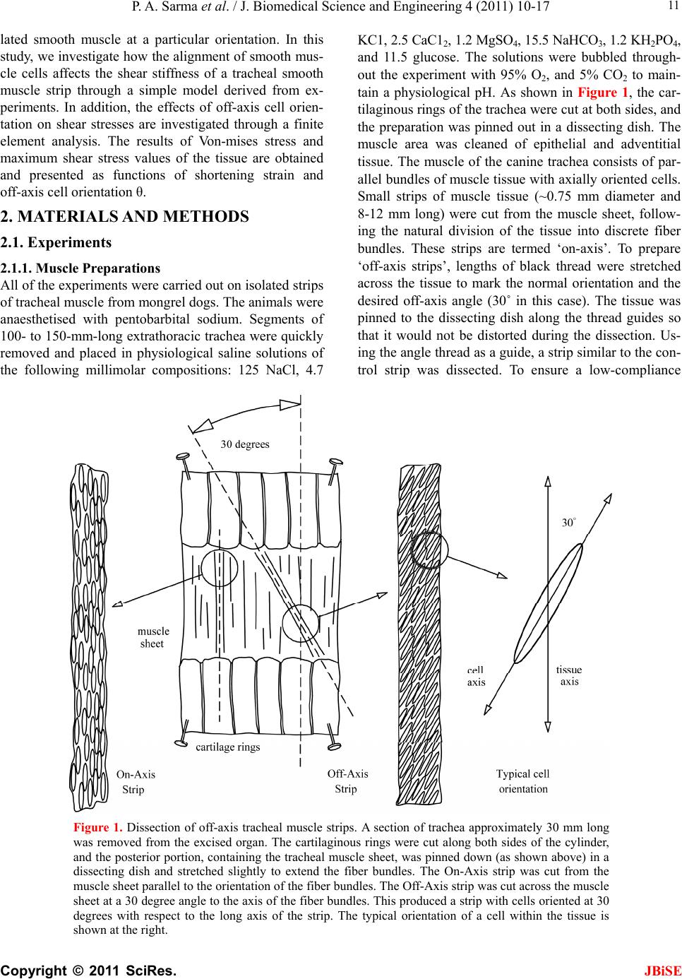 Effect of off-axis cell orientation on mechanical properties in smooth ...
