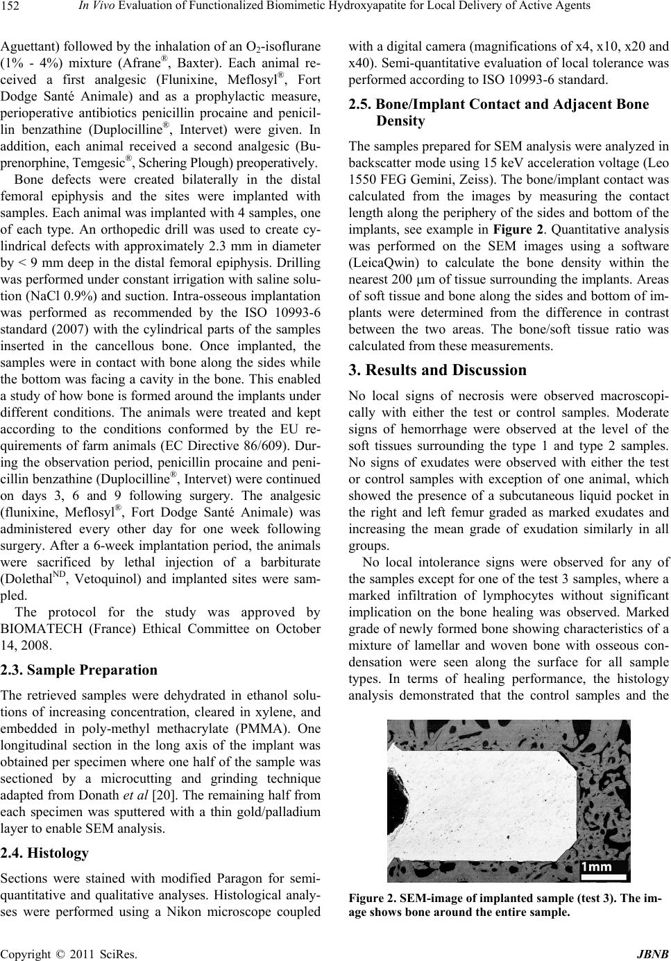 In Vivo Evaluation of Functionalized Biomimetic Hydroxyapatite for ...