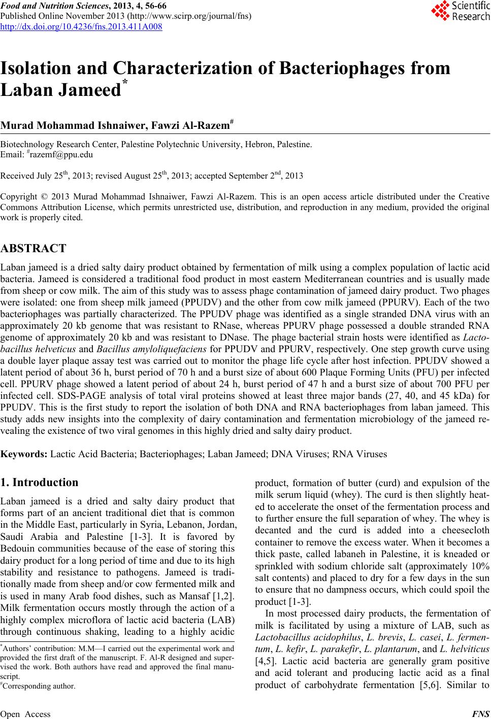 Isolation and Characterization of Bacteriophages from Laban Jameed