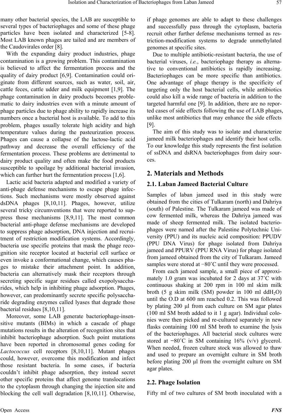 Isolation and Characterization of Bacteriophages from Laban Jameed