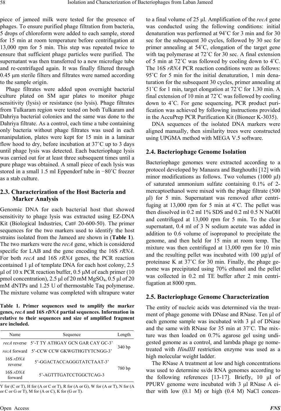 Isolation and Characterization of Bacteriophages from Laban Jameed
