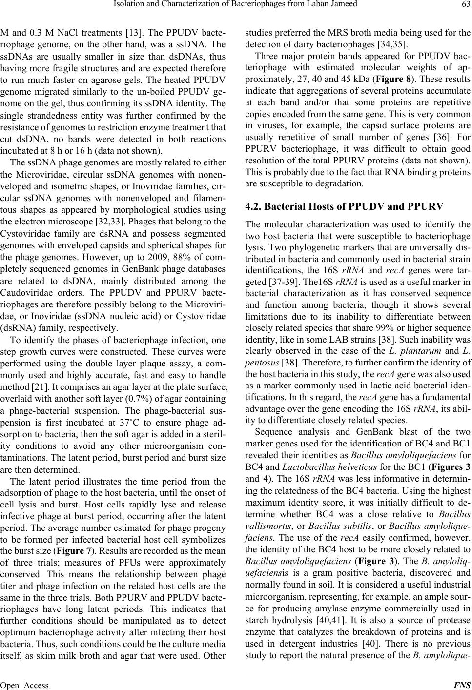 Isolation and Characterization of Bacteriophages from Laban Jameed