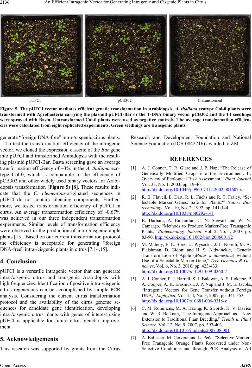 An Efficient Intragenic Vector for Generating Intragenic and Cisgenic ...