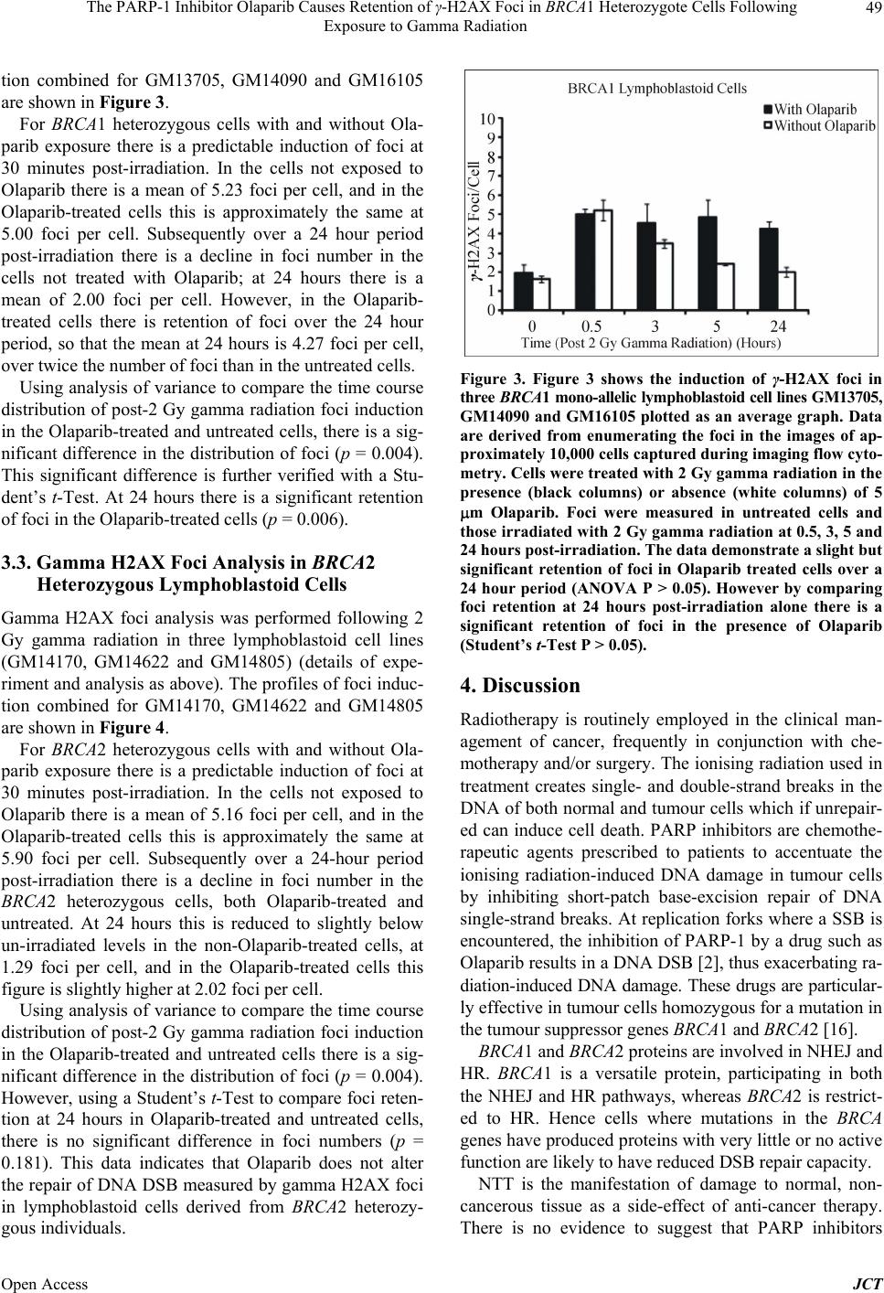 The PARP-1 Inhibitor Olaparib Causes Retention of γ-H2AX Foci in BRCA 1 ...