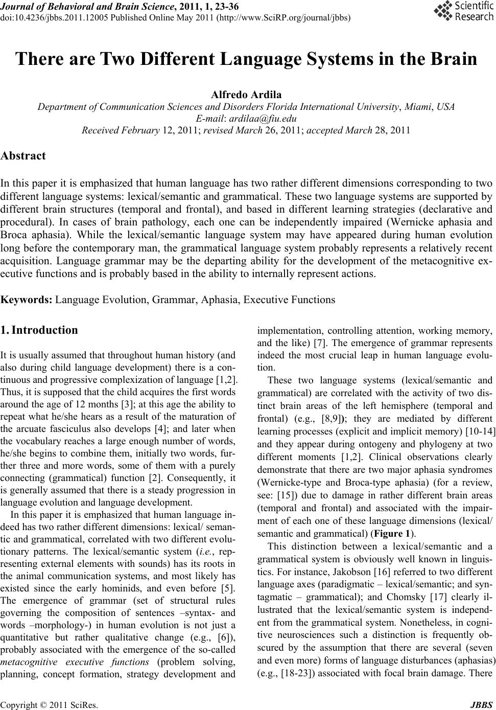 There are Two Different Language Systems in the Brain