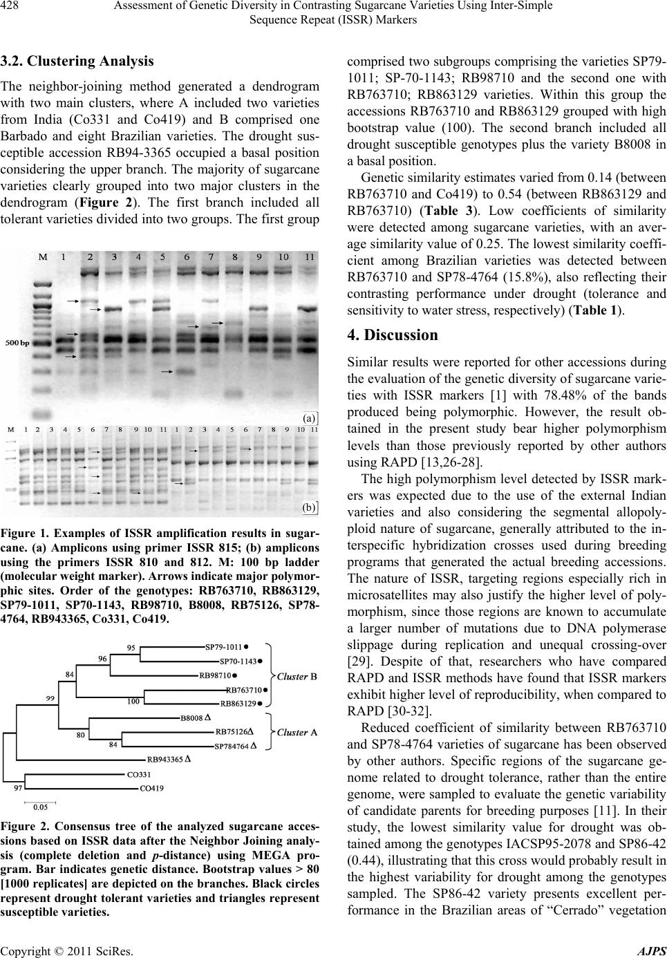 Assessment of Genetic Diversity in Contrasting Sugarcane Varieties Using Inter-Simple Sequence ...