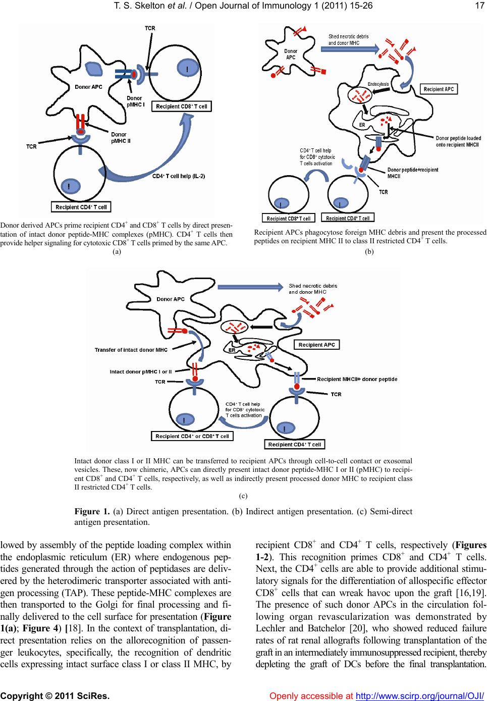 Molecular and cellular pathways involved in the therapeutic functions ...
