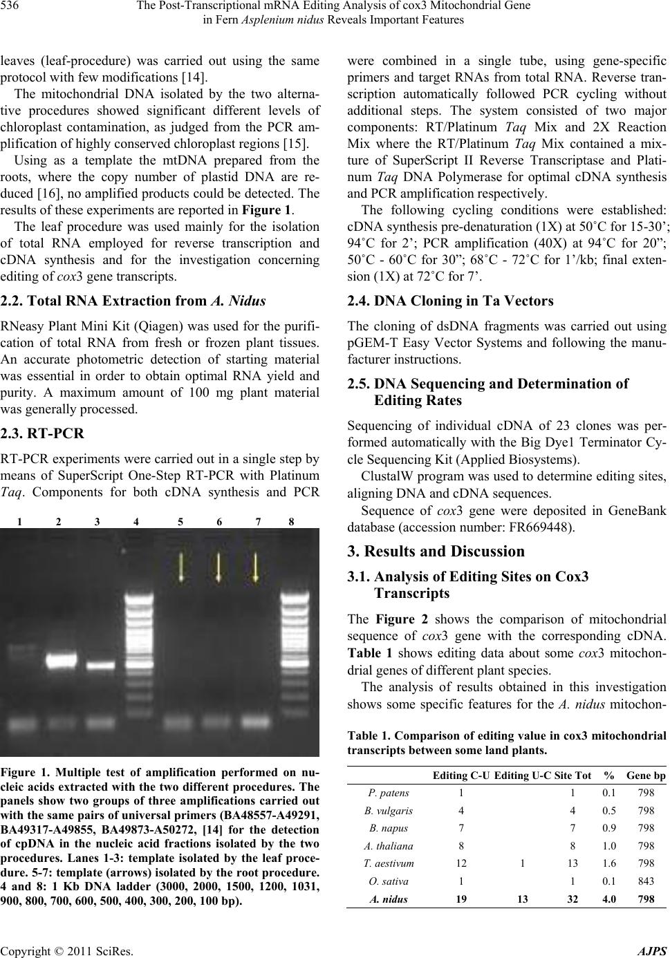 The Post-Transcriptional mRNA Editing Analysis of cox3 Mitochondrial ...