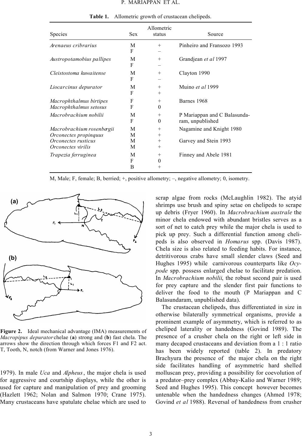 Decapod crustacean chelipeds: an overview